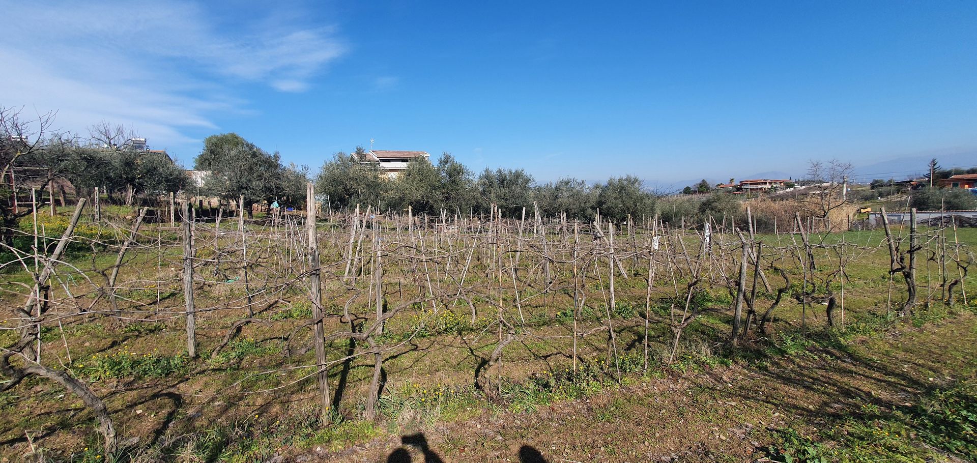 Terreno Agricolo Zona Finocchio, Roma | Petrucci Immobiliare